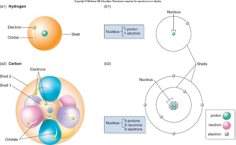 Chapter 2 Atoms Molecules And Life Inorganic Chemistry